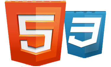 Hire Web Developers | Web Programmers & Coders in India